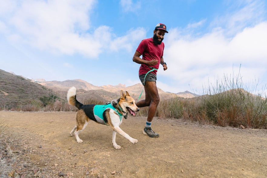Auswirkungen: Trail Folx | Ruffwear UK